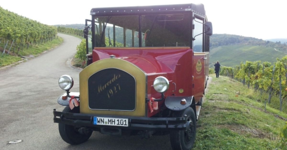 „Herbstflair im Weinberg“