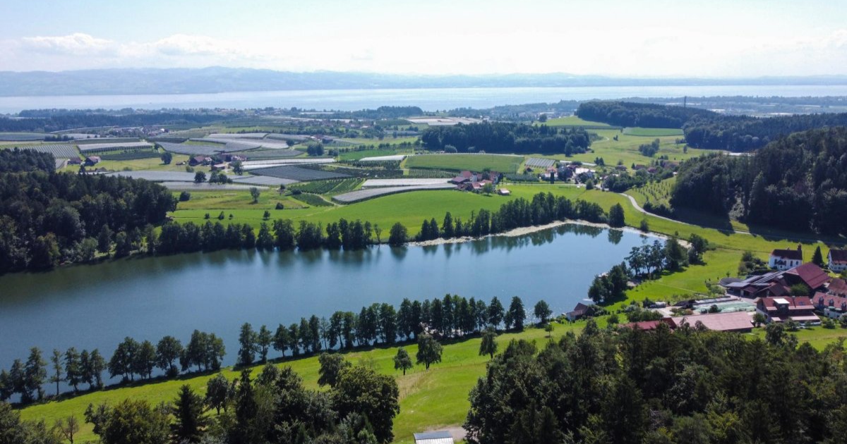 W10 - Vom Schleinsee zur Ruine Altsummerau