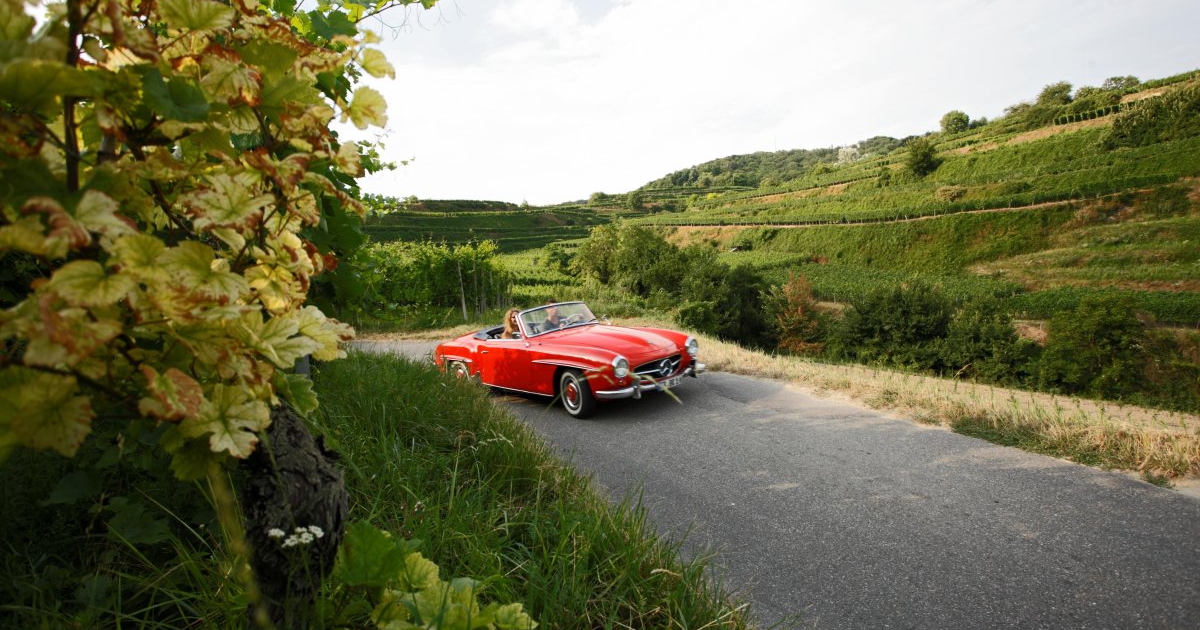 Baden Wine Route | Wine experience between the Black Forest and the ...