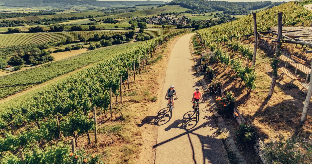 The Württemberg Wine Cycle Path