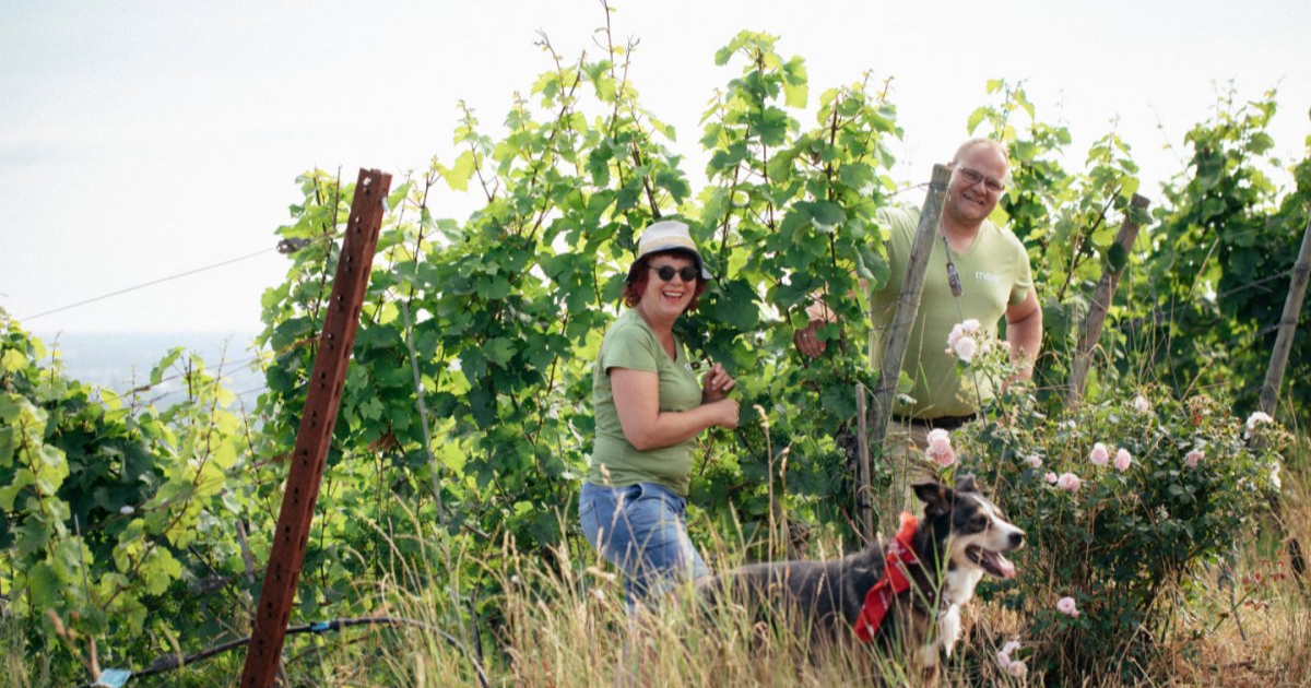 Weingut Maier