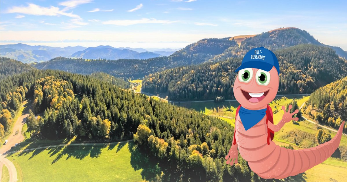 Giant earthworm trail