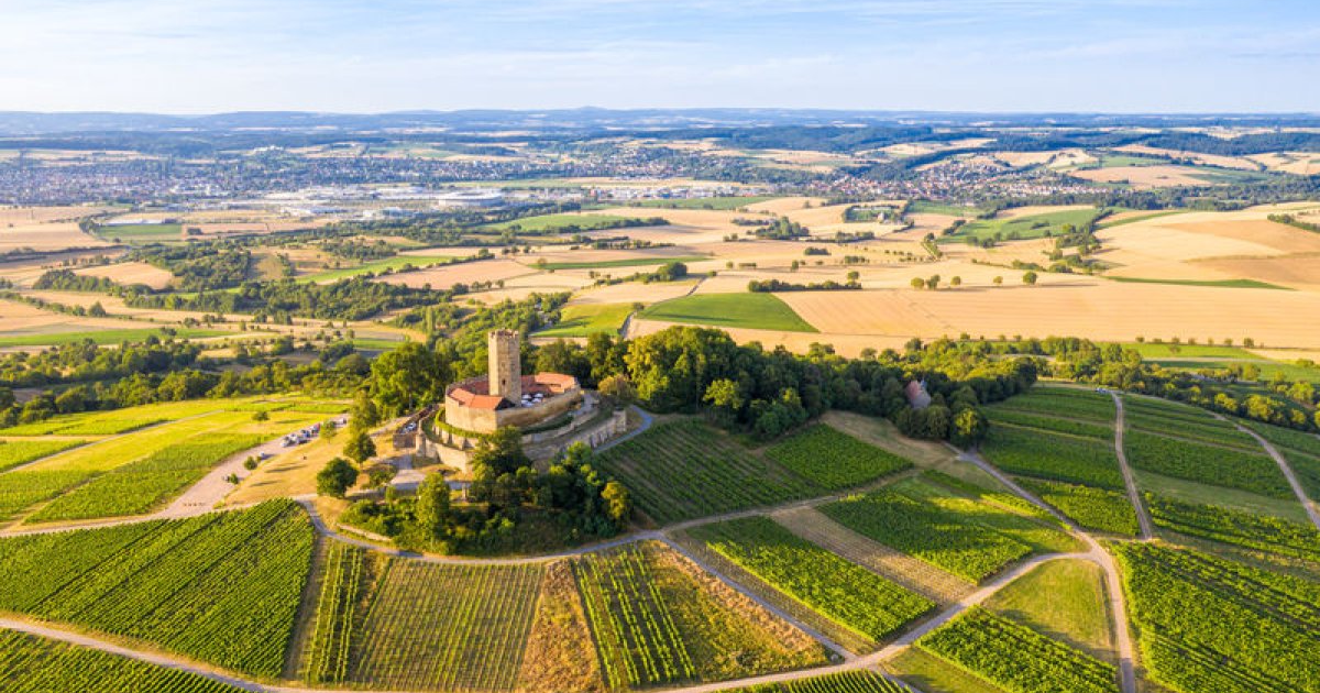 Steinsberg Castle